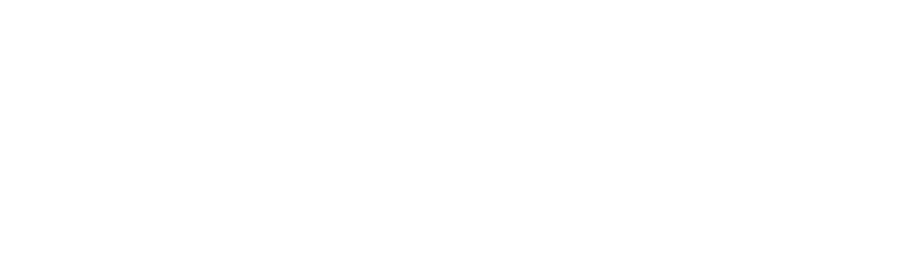 Historia - Desarrollo e historia del Grupo Stabilus